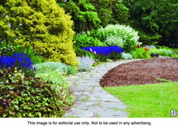 How to eliminate weeds on interlock pathways | Editorial Service ...