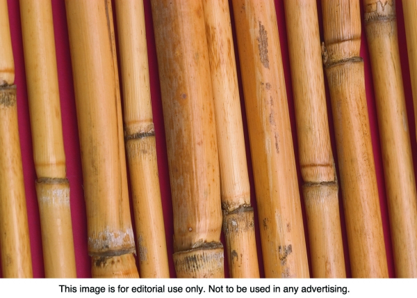17 Different Uses for Bamboo | Editorial Service | MetroCreativeConnection