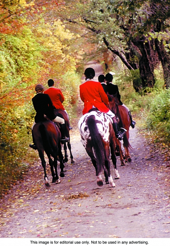 Horseback riding safety tips | Editorial Service | MetroCreativeConnection