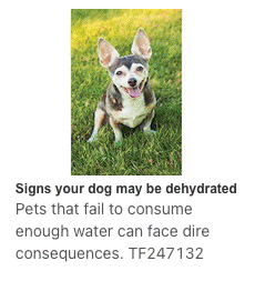 MetroCreativeConnection | Your online gateway to the moneymaking ...