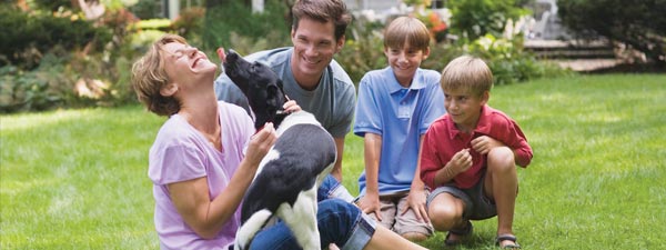 All About Pets Online Special Section